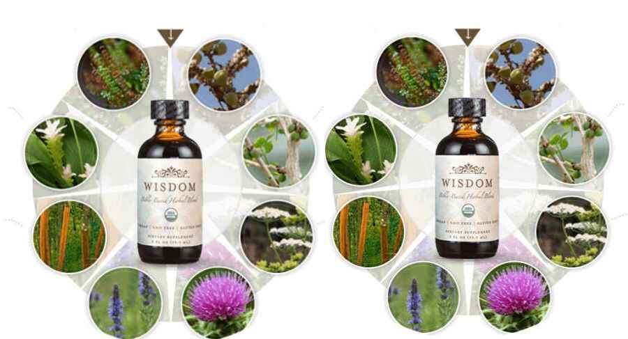 Wisdom Supplement Reviews: All Facts Revealed